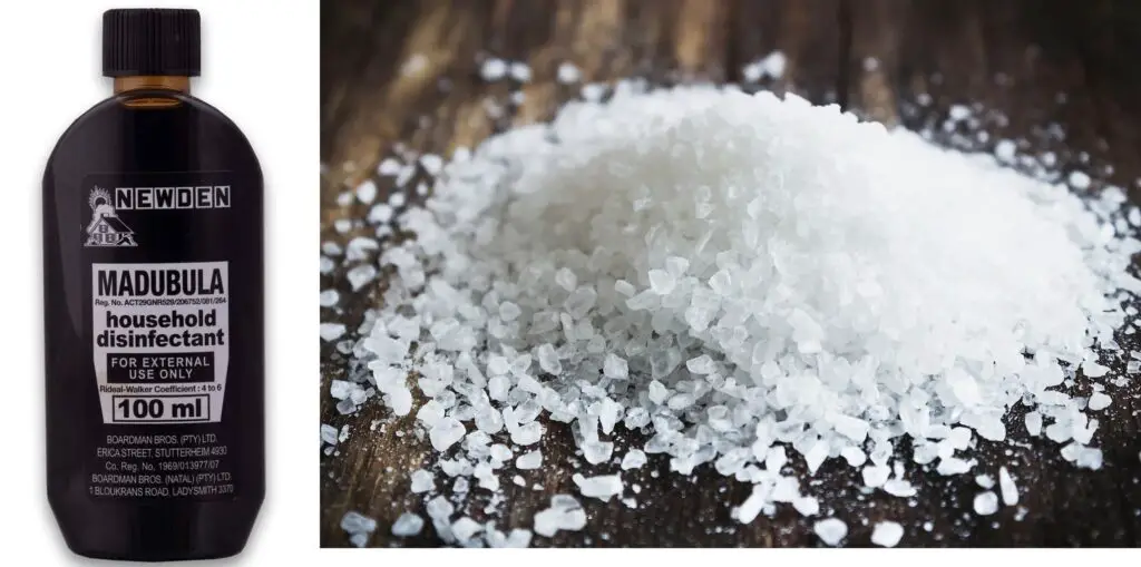 Madubula and Salt Benefits: Guide - Beauty & Lifestyle
